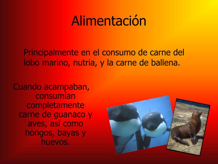 PPT - Los Yaganes PowerPoint Presentation - ID:870689