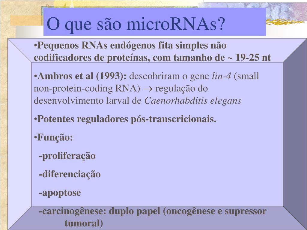 PPT - EPIGENÉTICA: IMPRINTING GENÔMICO e miRNA PowerPoint Presentation ...