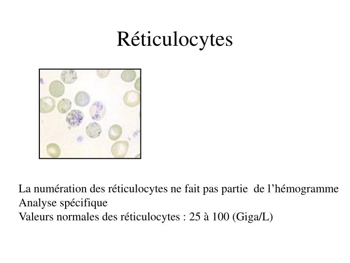 PPT - Myélogramme et Hémogramme Normal PowerPoint Presentation - ID:871629