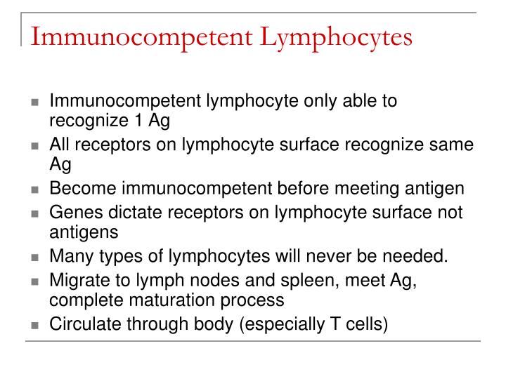 PPT - Lymphatic System and Body Defenses PowerPoint Presentation - ID ...