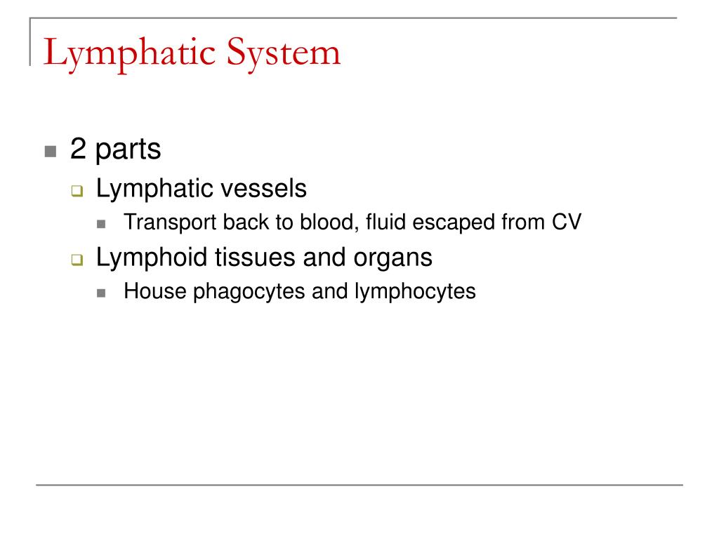 Ppt Lymphatic System And Body Defenses Powerpoint Presentation Free