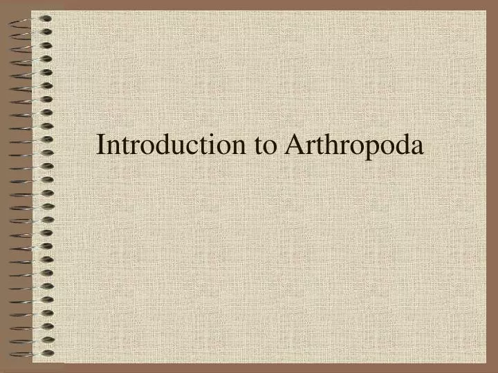 PPT - Introduction to Arthropoda PowerPoint Presentation, free download ...