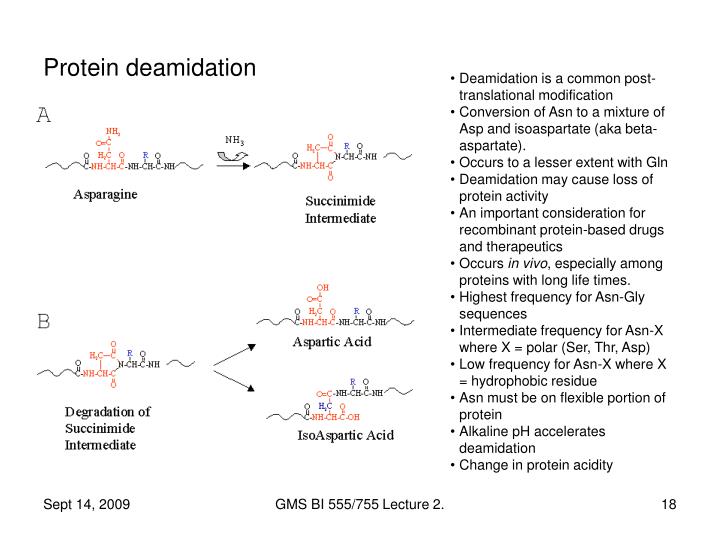 PPT - Review: Gibbs free energy, enthalpy, entropy Work and energy ...