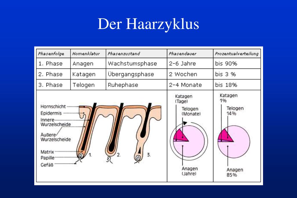 PPT - Haarerkrankungen und deren Therapiemöglichkeiten PowerPoint ...