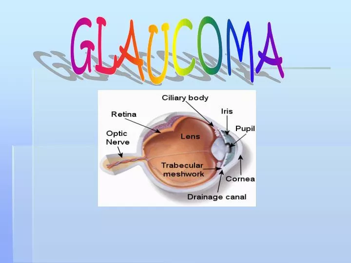 PPT - GLAUCOMA PowerPoint Presentation, free download - ID:875033