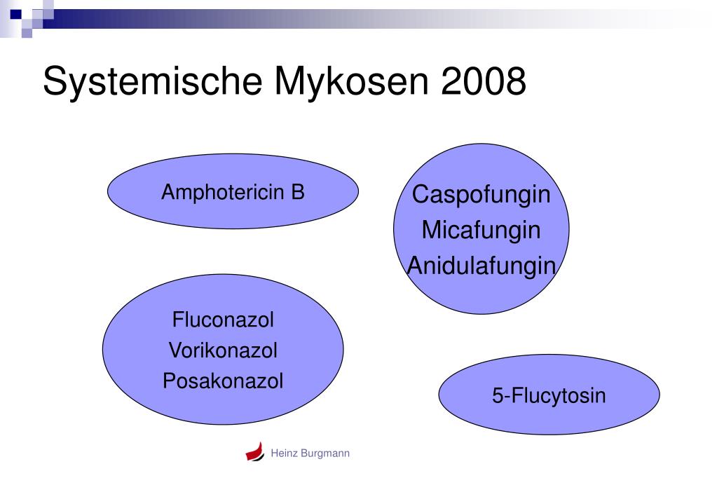 PPT - Der fiebernde Patient- bakterielle und mykotische Infektionen ...