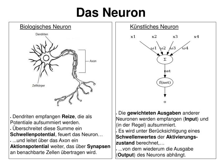 PPT - Künstliche Neuronale Netze PowerPoint Presentation - ID:876147