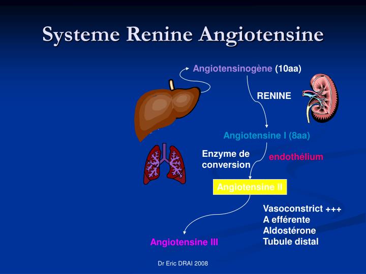 PPT - Hypertension arterielle PowerPoint Presentation - ID:877941