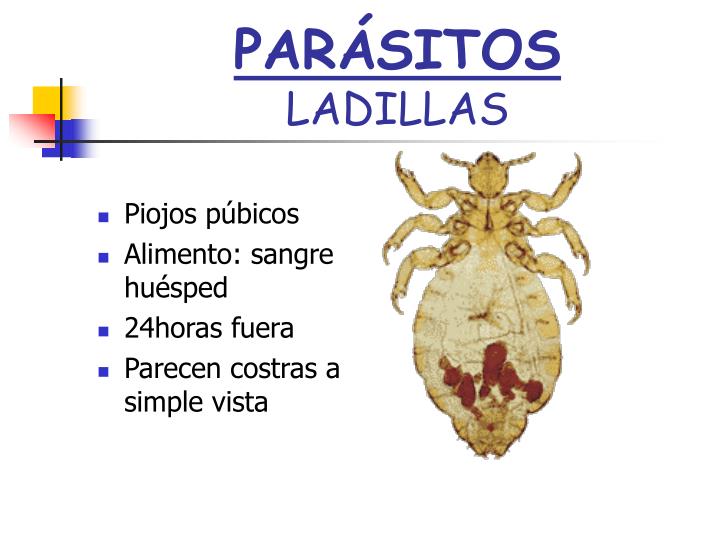 PPT - ETS PowerPoint Presentation - ID:877998