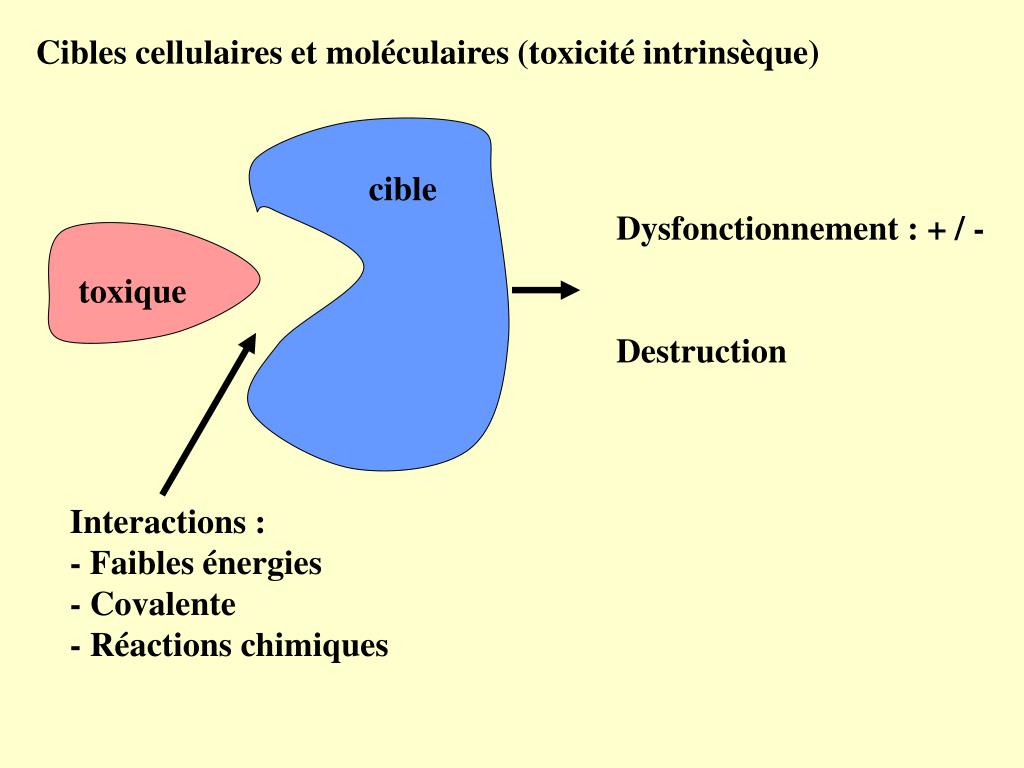 PPT - Toxicologie générale : cibles cellulaires et moléculaires ...