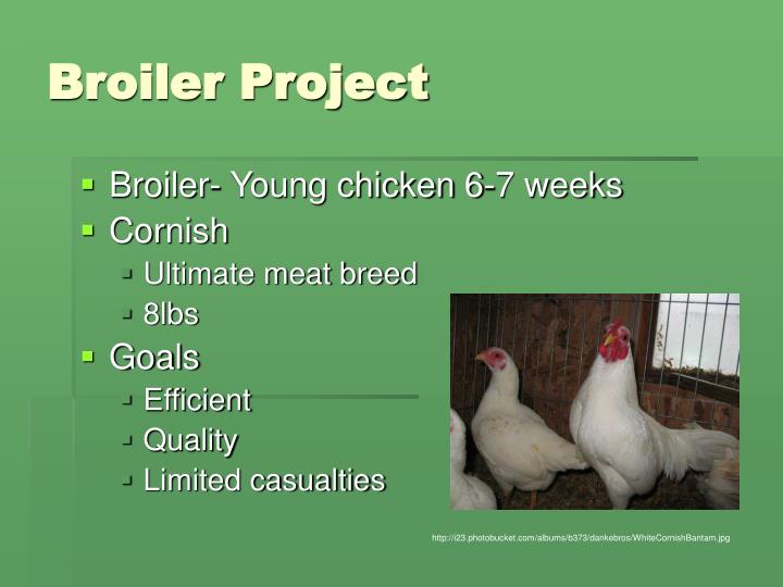 PPT - Broiler Housing & Equipment PowerPoint Presentation - ID:879304