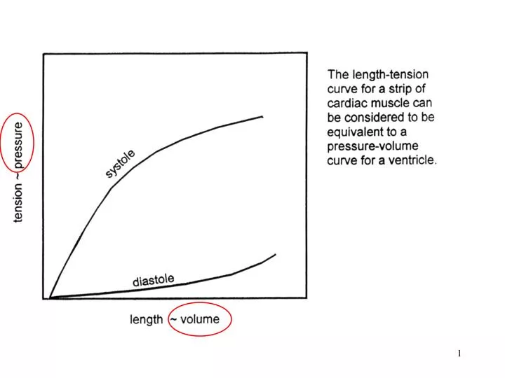 PPT - The ejection loop PowerPoint Presentation, free download - ID:881719