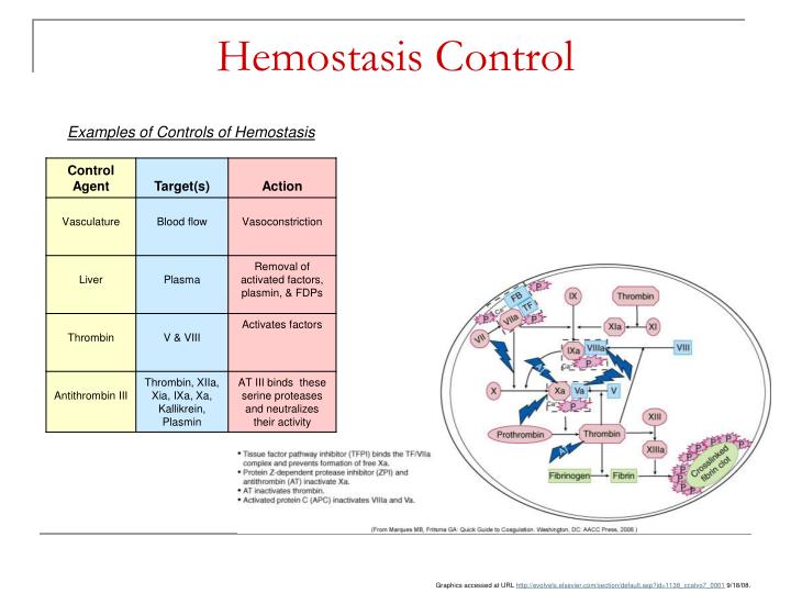 PPT - Overview of Hemostasis PowerPoint Presentation - ID:88185