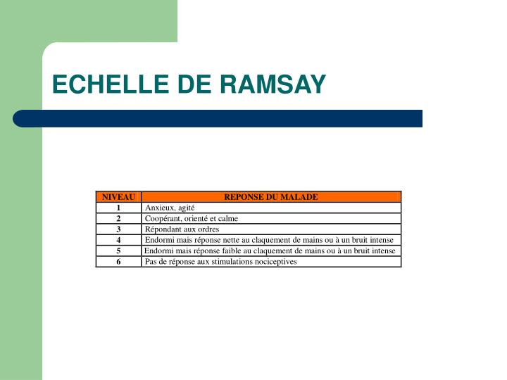 PPT - MISE EN PLACE D’UN PROTOCOLE DE SEDATION EN REANIMATION ...