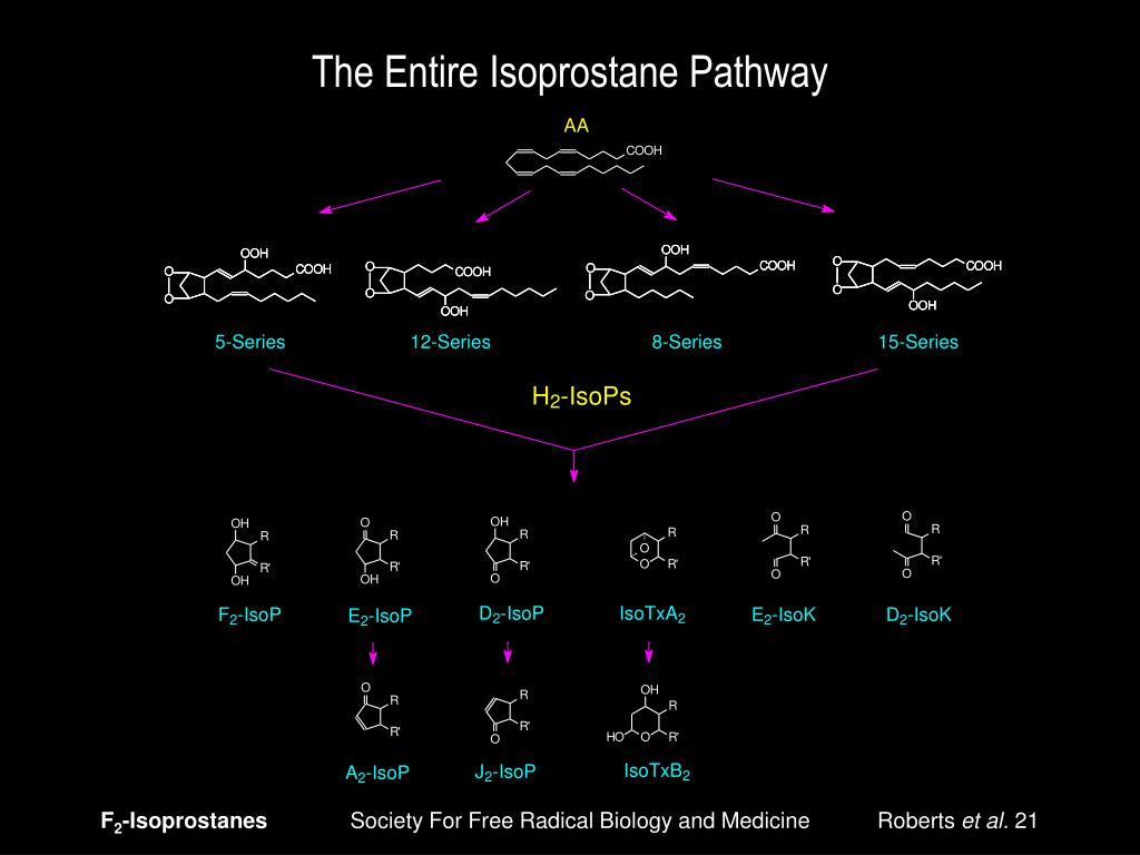 PPT - The Isoprostane and Neuroprostane Pathways: A True View of Lipid ...