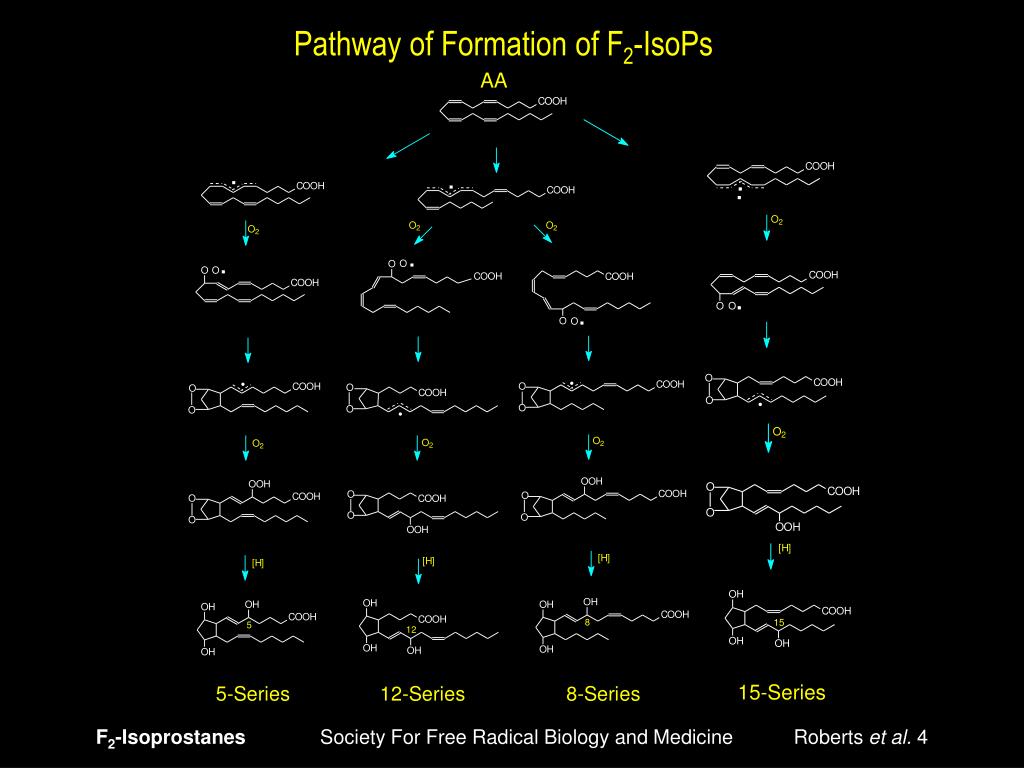 PPT - The Isoprostane and Neuroprostane Pathways: A True View of Lipid ...