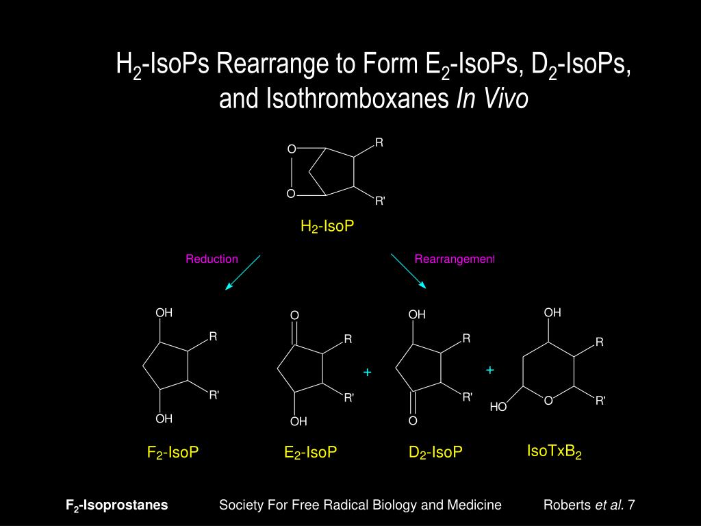 PPT - The Isoprostane and Neuroprostane Pathways: A True View of Lipid ...