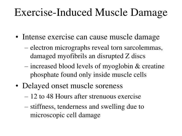 PPT - THE MUSCULAR SYSTEM: SKELETAL MUSCLE TISSUE AND MUSCLE ...