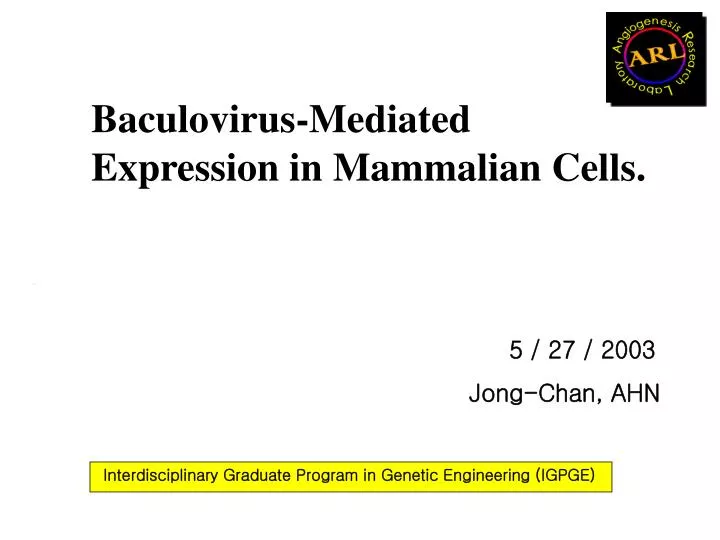 PPT - Baculovirus-Mediated Expression in Mammalian Cells. PowerPoint Presentation - ID:886339