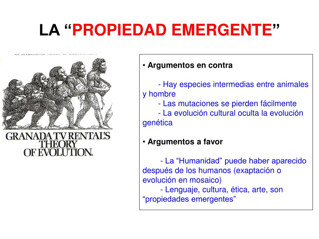 PPT - ETICA & BIENESTAR ANIMAL PowerPoint Presentation, free download ...