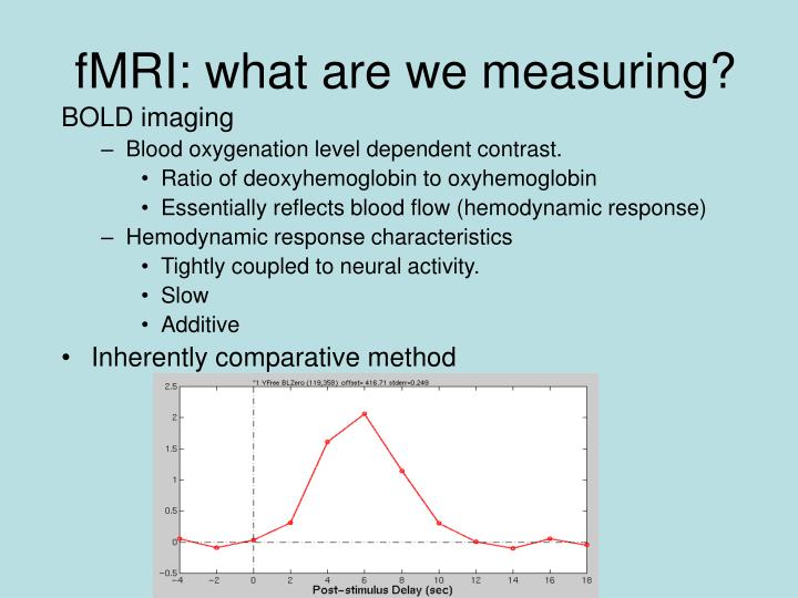 PPT - Functional Magnetic Resonance Imaging PowerPoint Presentation ...