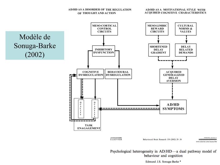PPT - TDAH : une approche neurologique PowerPoint Presentation - ID:888575