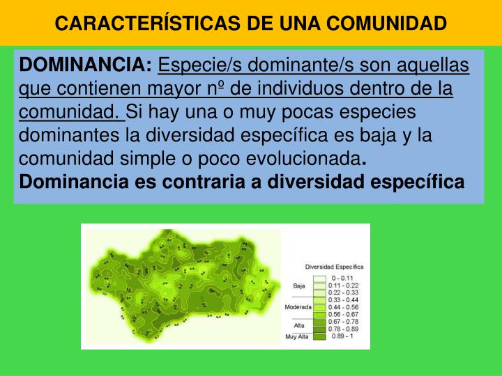 PPT - ECOSISTEMAS II Dinámica de poblaciones y comunidades. Sucesión ...