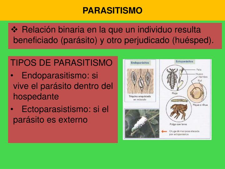 PPT - ECOSISTEMAS II Dinámica de poblaciones y comunidades. Sucesión ...