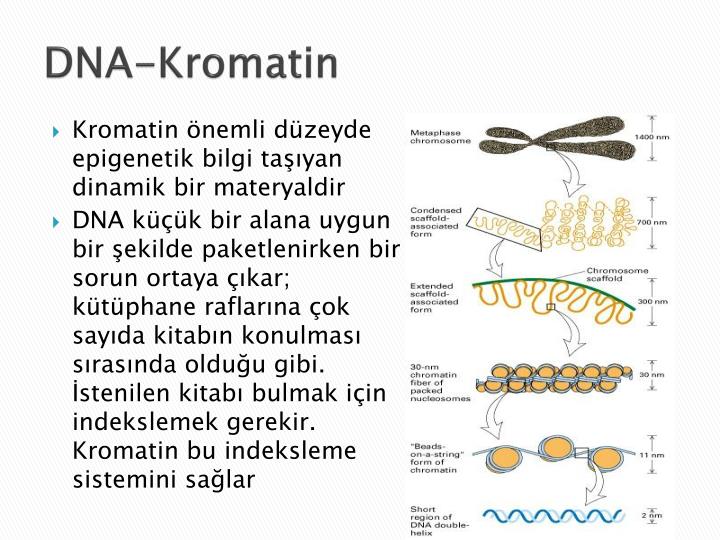 PPT - Prof Dr Süheyla Ünal İnönü Üniversitesi Tıp Fakültesi Psikiyatri ...