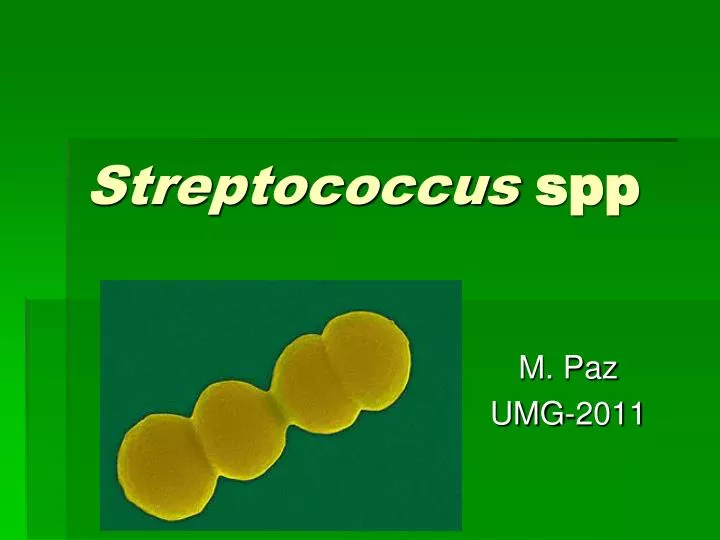 PPT - Streptococcus spp PowerPoint Presentation, free download - ID:889244