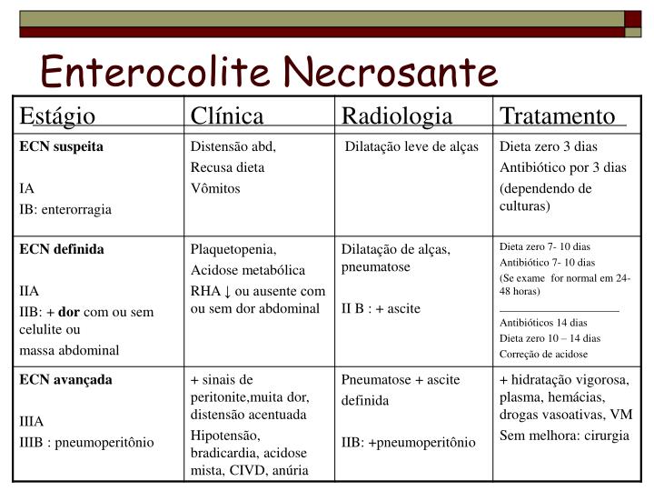 PPT - Enterocolite Necrosante PowerPoint Presentation - ID:891463