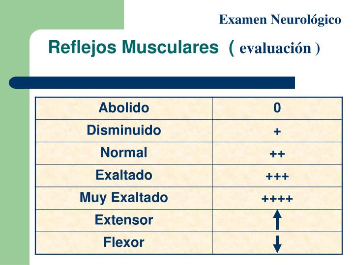 PPT - EXAMEN FISICO PowerPoint Presentation - ID:892202
