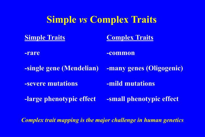 PPT - Mapping Genes for SLE: A Paradigm for Human Disease? PowerPoint ...