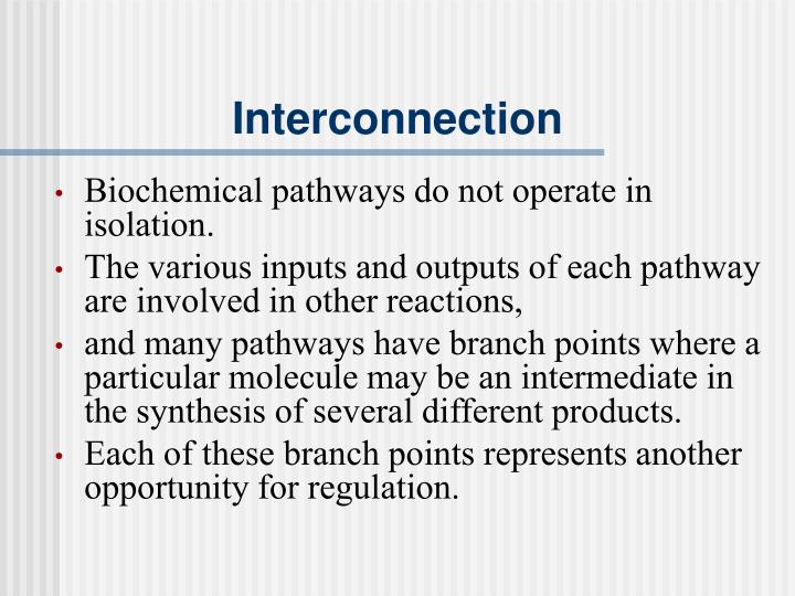 PPT - Biochemistry PowerPoint Presentation - ID:89333