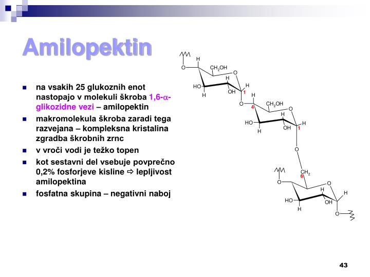 PPT - OGLJIKOVI HIDRATI PowerPoint Presentation - ID:896453