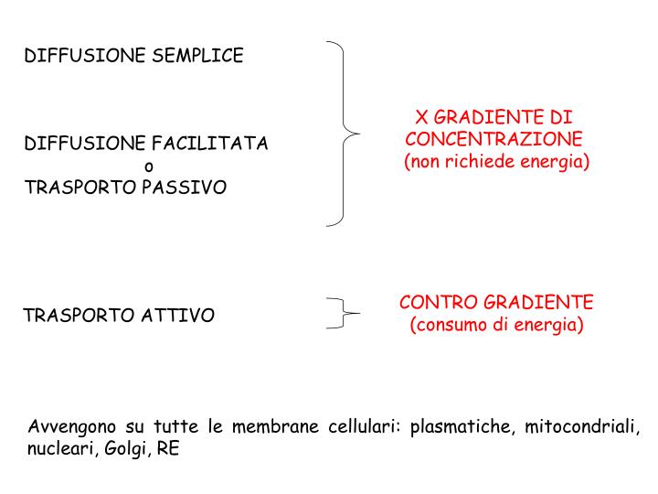 PPT - MECCANISMI DI TRASPORTO ATTRAVERSO LA MEMBRANA PowerPoint ...
