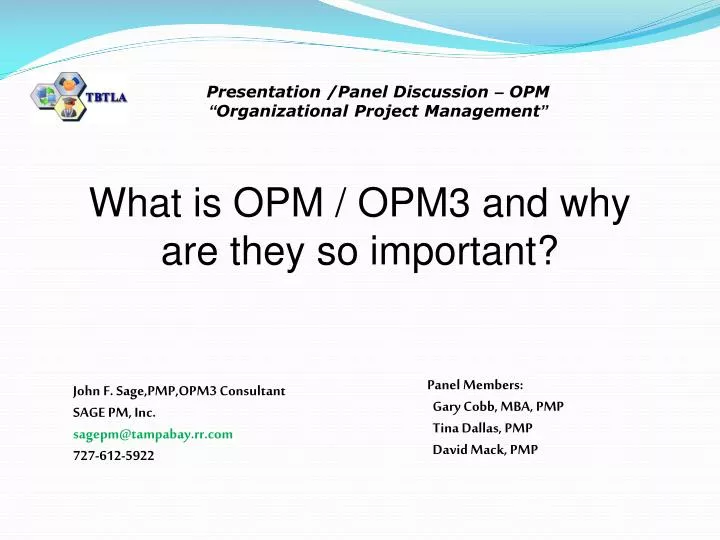 PPT - Presentation /Panel Discussion – OPM “ Organizational Project ...