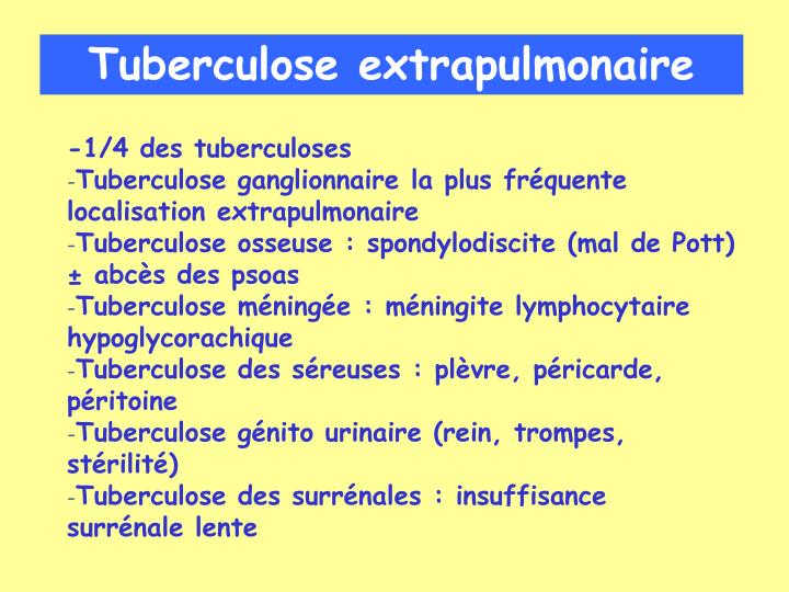 PPT - Tuberculose PowerPoint Presentation - ID:900108