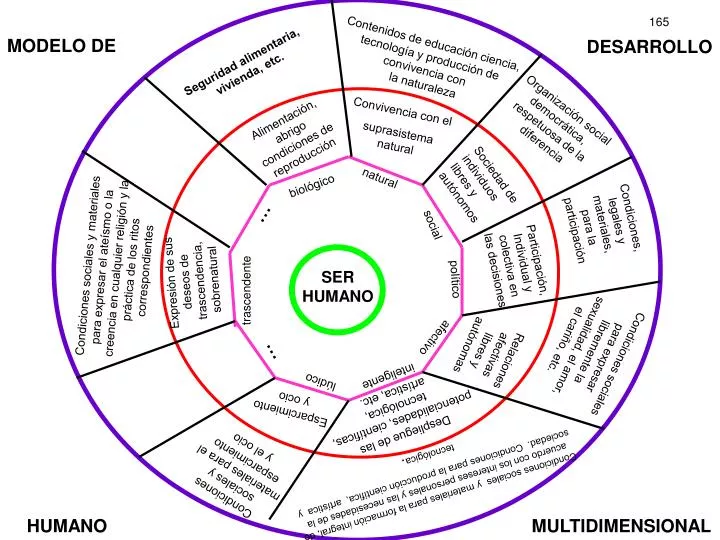 PPT - SER HUMANO PowerPoint Presentation, free download - ID:900581