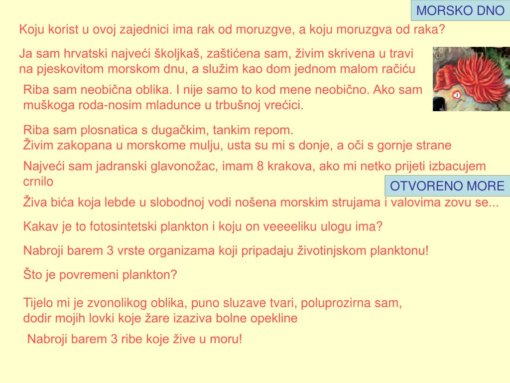 PPT - Zašto Zemlju nazivamo plavi planet? PowerPoint Presentation, free ...