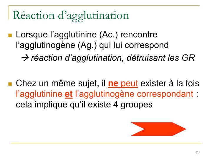 PPT - LES GROUPES SANGUINS PowerPoint Presentation - ID:901087