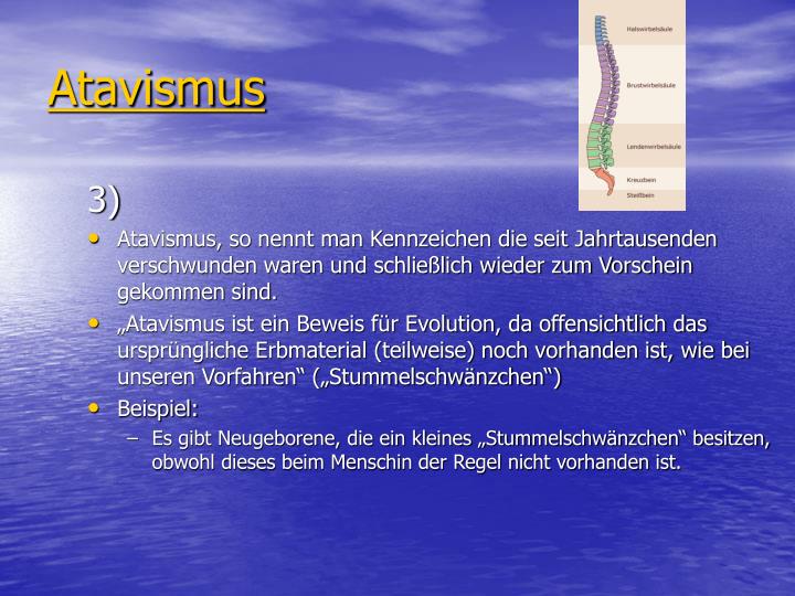PPT - Körperbau und Verhalten geben Hinweise auf die Evolution ...