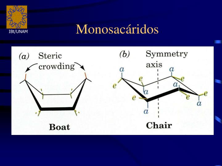 PPT - Carbohidratos PowerPoint Presentation - ID:902247
