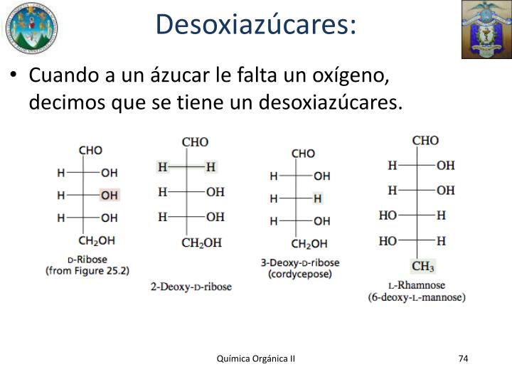 PPT - Carbohidratos PowerPoint Presentation - ID:902278