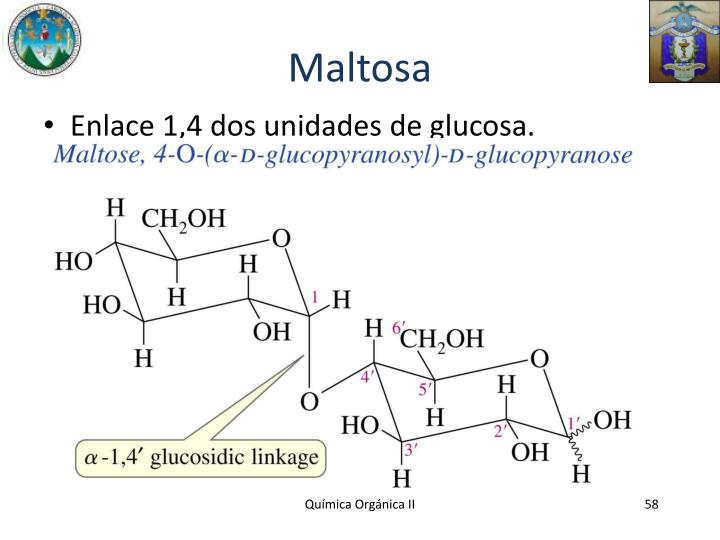 PPT - Carbohidratos PowerPoint Presentation - ID:902278