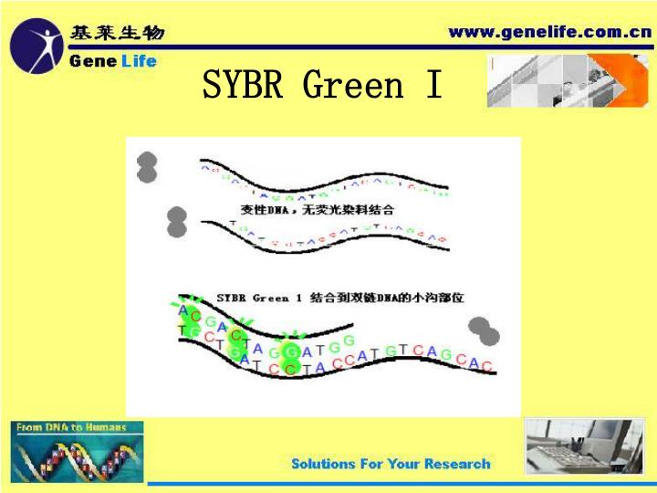 PPT - PCR PowerPoint Presentation - ID:902924