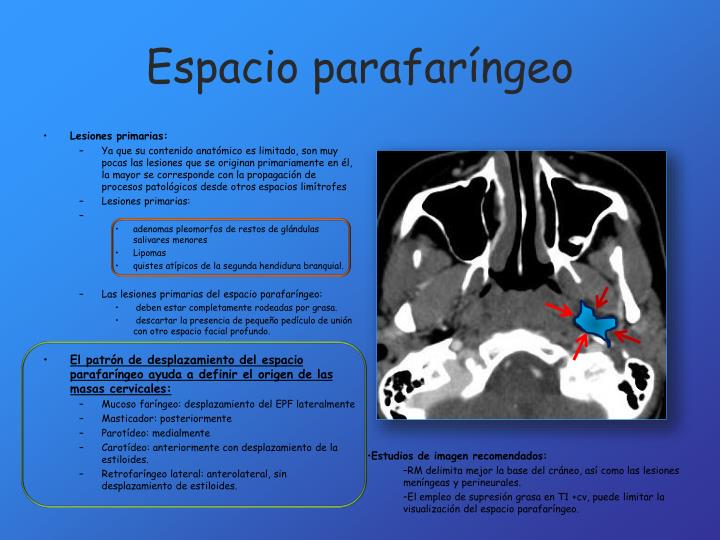 PPT - Anatomía cervical PowerPoint Presentation - ID:903406