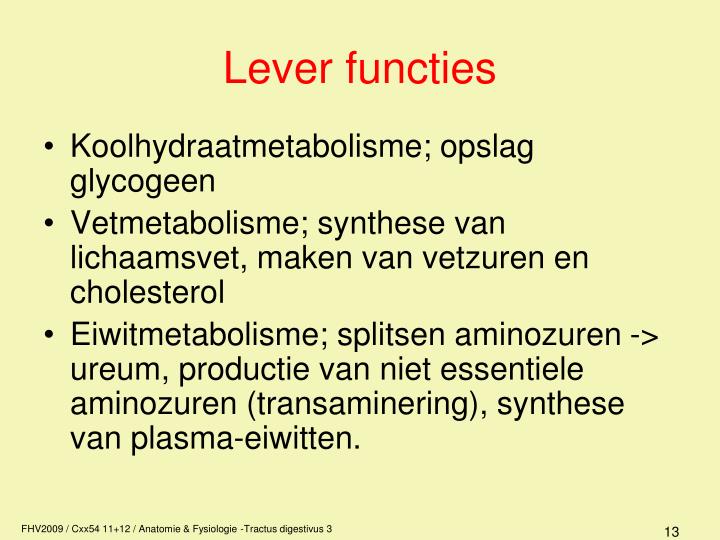 PPT - Tractus digestivus 3 Spijsvertering 3 PowerPoint Presentation ...