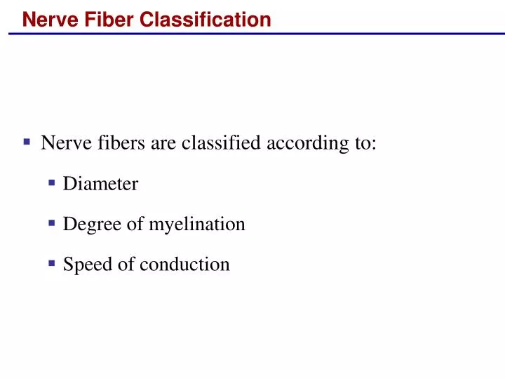 PPT - Nerve Fiber Classification PowerPoint Presentation, free download ...
