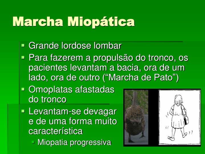 PPT - Exame Neurológico - Marcha PowerPoint Presentation - ID:904946